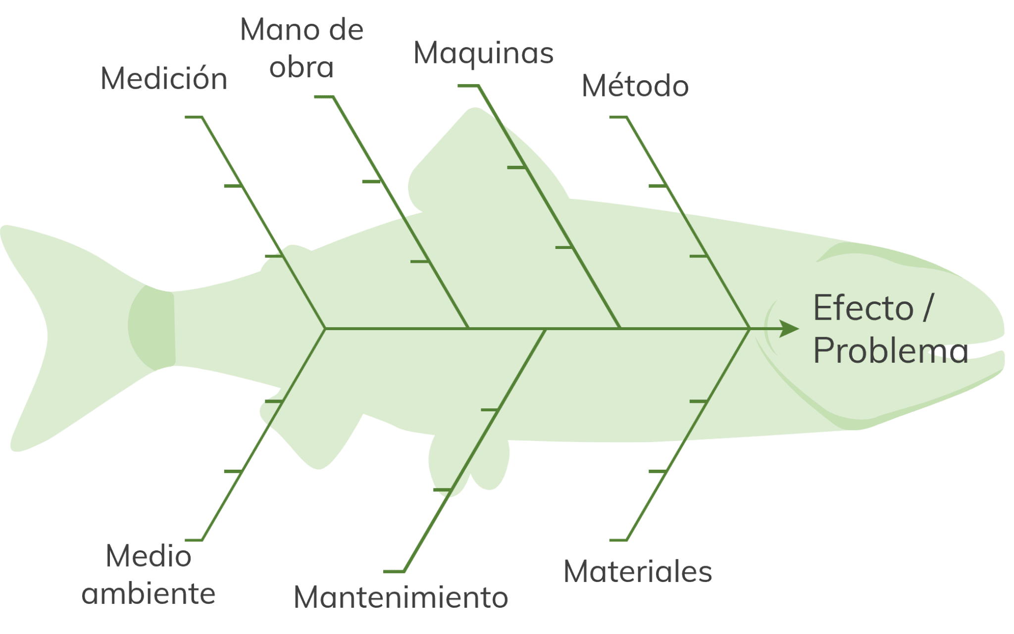 Cómo Hacer un Diagrama de Ishikawa para Identificar Problemas (Con ejemplos!) - Profit Control S.L.